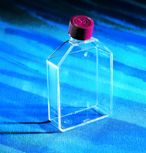 Corning: Buy Cell culture flask, Corning (45 ml, vented c...
