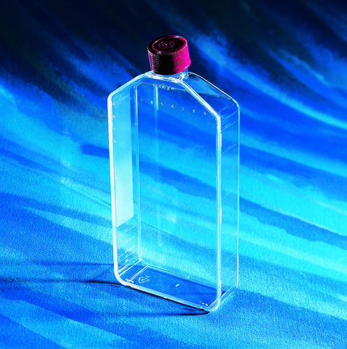 Corning: Buy Cell culture flask, Corning (45 ml, vented c...