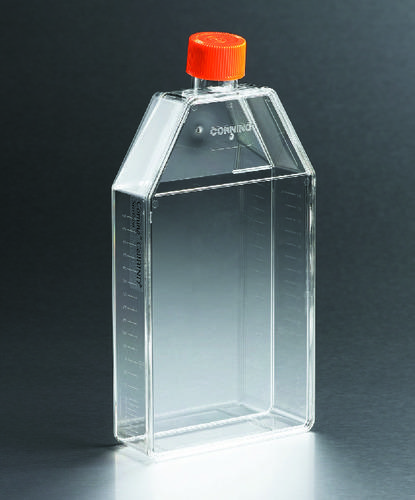 Corning: Buy Cell culture flask, Corning (45 ml, vented c...