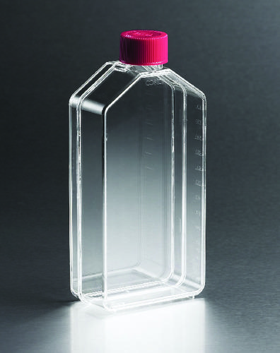 Corning: Buy Cell culture flask, Corning (45 ml, vented c...