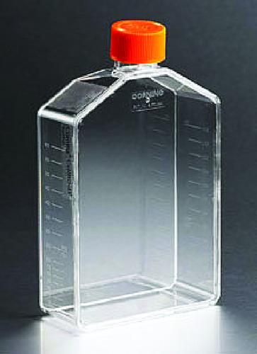 Corning: Buy Cell culture flask, Corning (45 ml, vented c...
